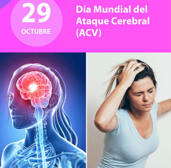📒 🧠29 de octubre: Día Mundial del Accidente Cerebro Vascular (ACV)🧠 - IPS